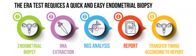 ERA – Endometrial Receptivity Analysis - Alpha IVF Fertility Center ...