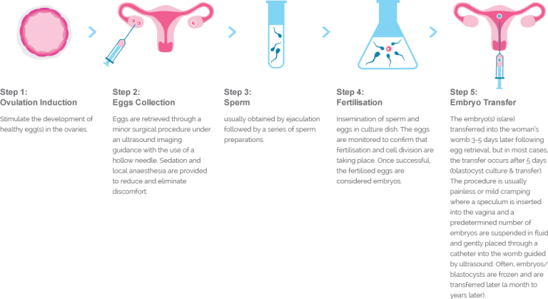 In-Vitro Fertilisation (IVF) Treatment - Alpha IVF Fertility Center ...