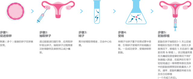 体外受精 Ivf Best Ivf Centre Fertility Treatments Ivf Doctors