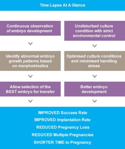 Time Lapse Embryo Monitoring System - Alpha IVF Fertility Center Malaysia