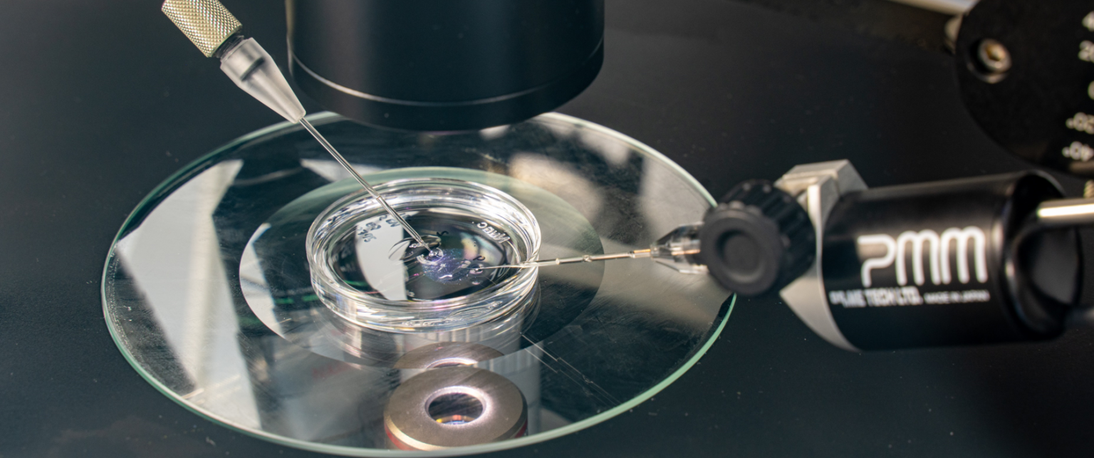 PIEZO-ICSI - Alpha IVF Fertility Center Malaysia