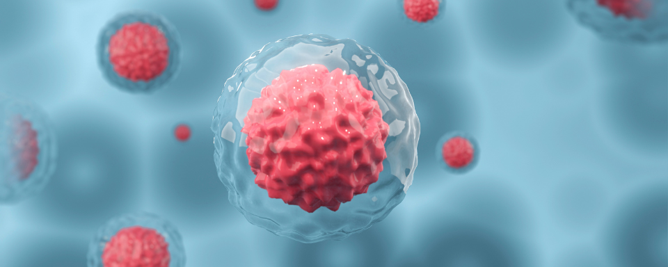 Happening @ ALPHA IVF - Alpha IVF Fertility Center Malaysia